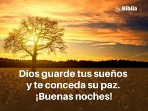 Bendecida noche: Que Dios te bendiga en todo momento - Blogfrases